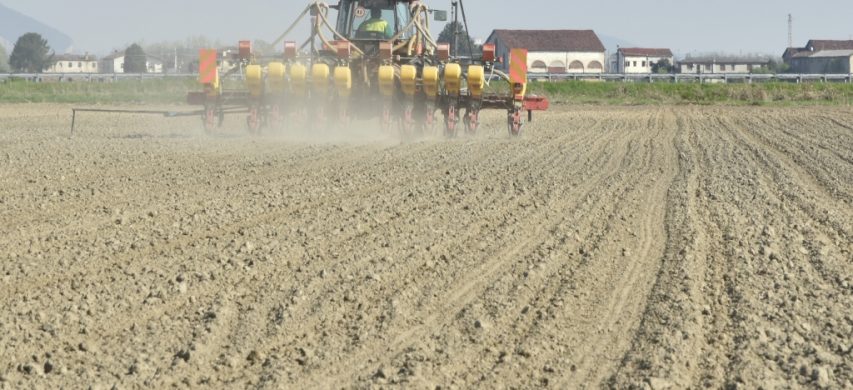 Maltempo: arriva la pioggia sulla campagna arida che salva le semine ... Maltempo: arriva la pioggia sulla campagna arida che salva le semine ...